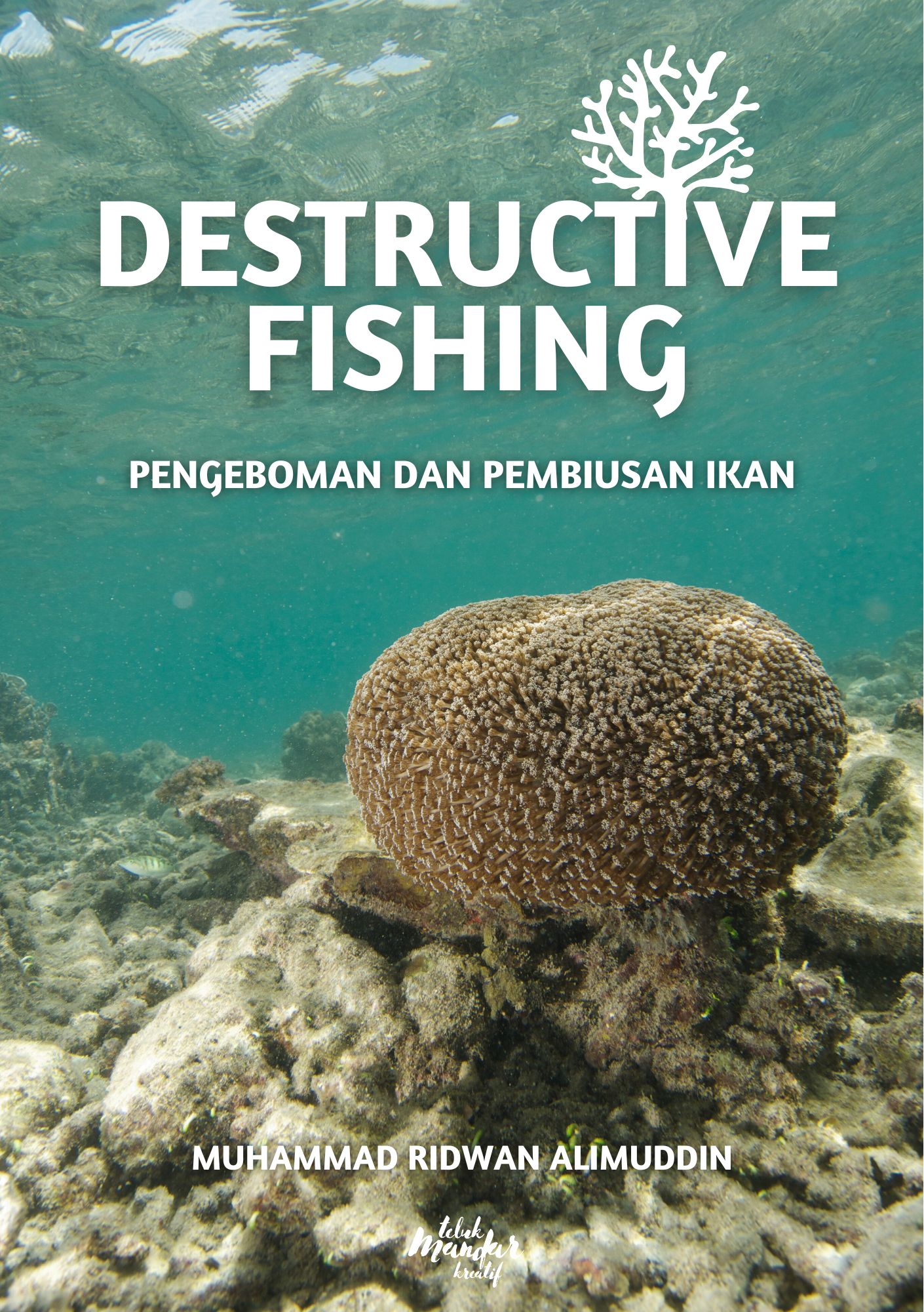 DESTRUCTIVE FISHING – Teluk Mandar Kreatif
